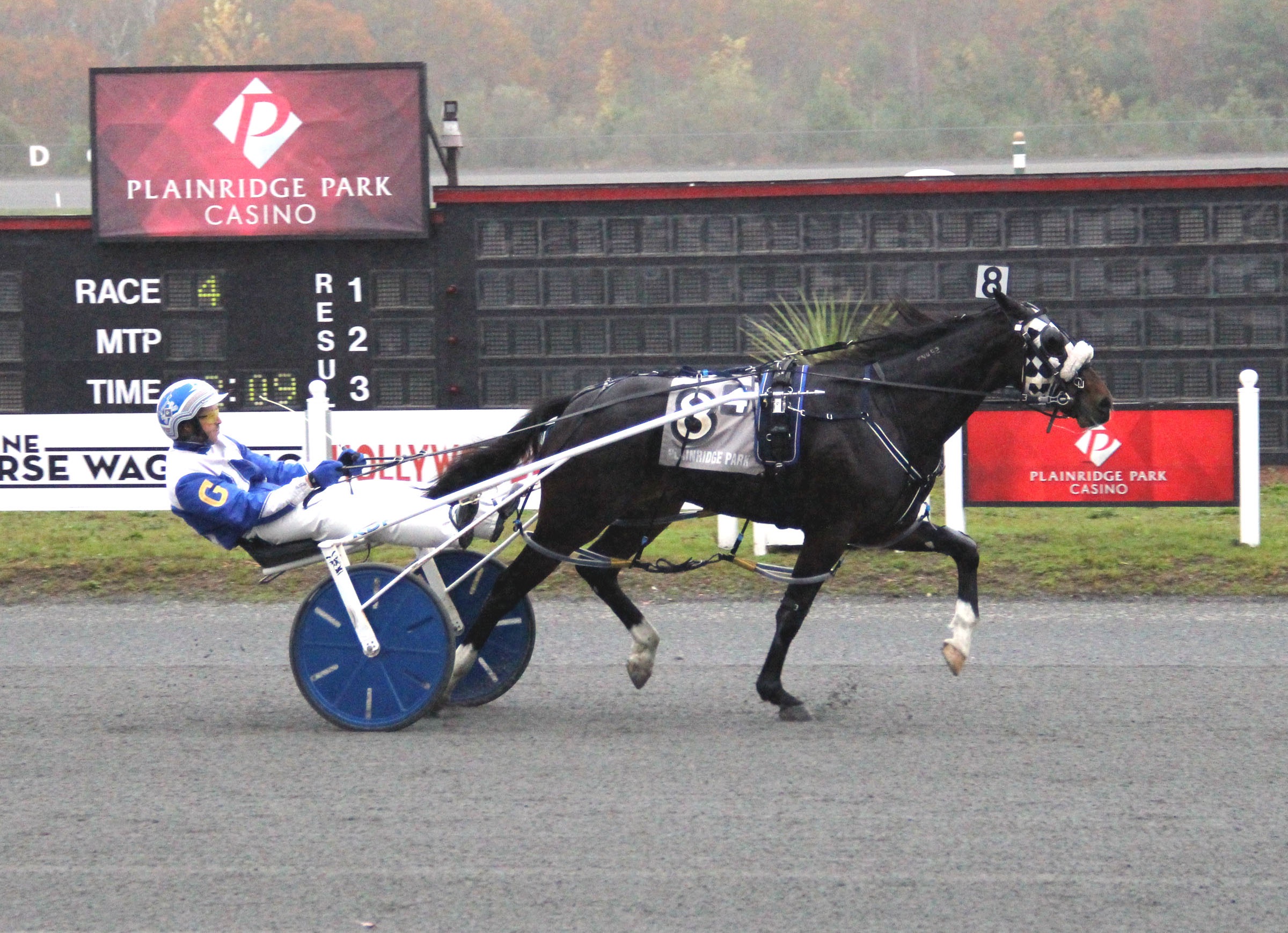 2017 Sire Stake Finals - Standardbred Owners of Massachusetts