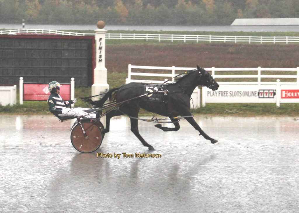 News - Standardbred Owners of Massachusetts