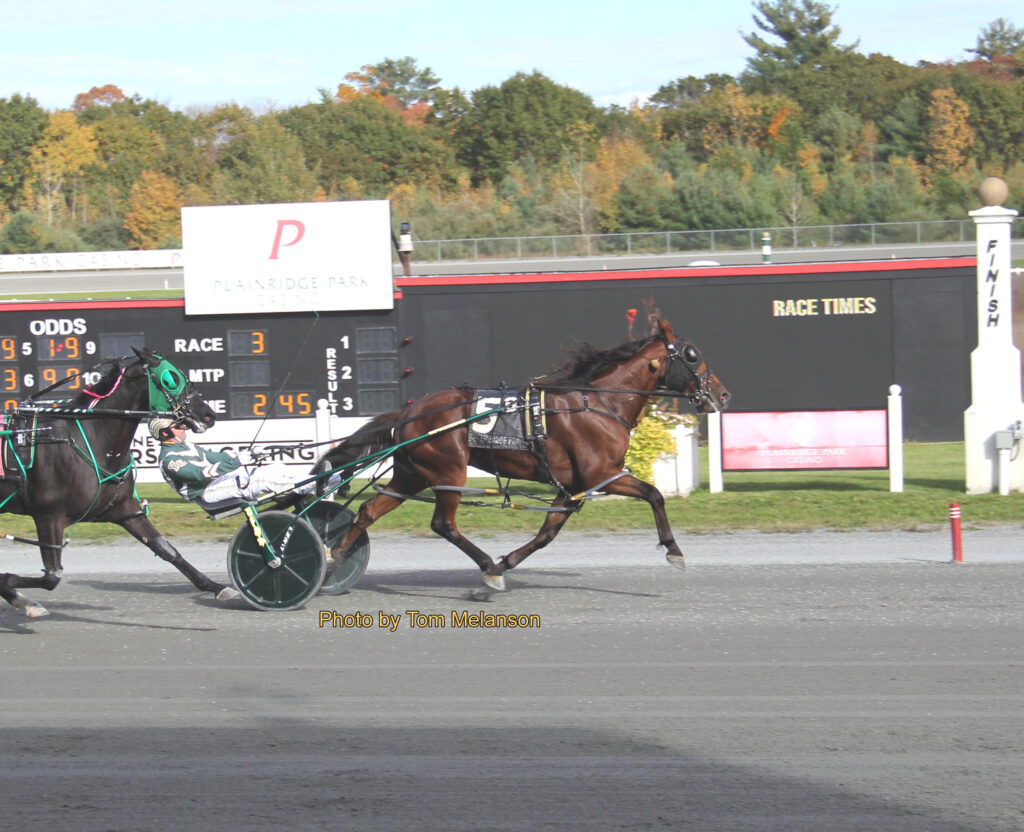 News - Standardbred Owners of Massachusetts